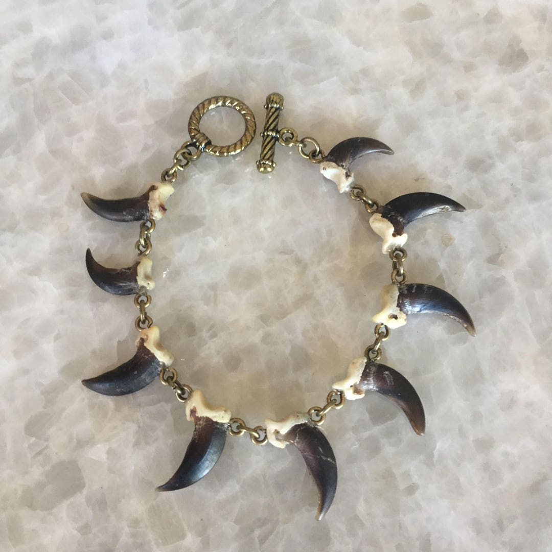 Coyote Claw Bracelet - Etsy