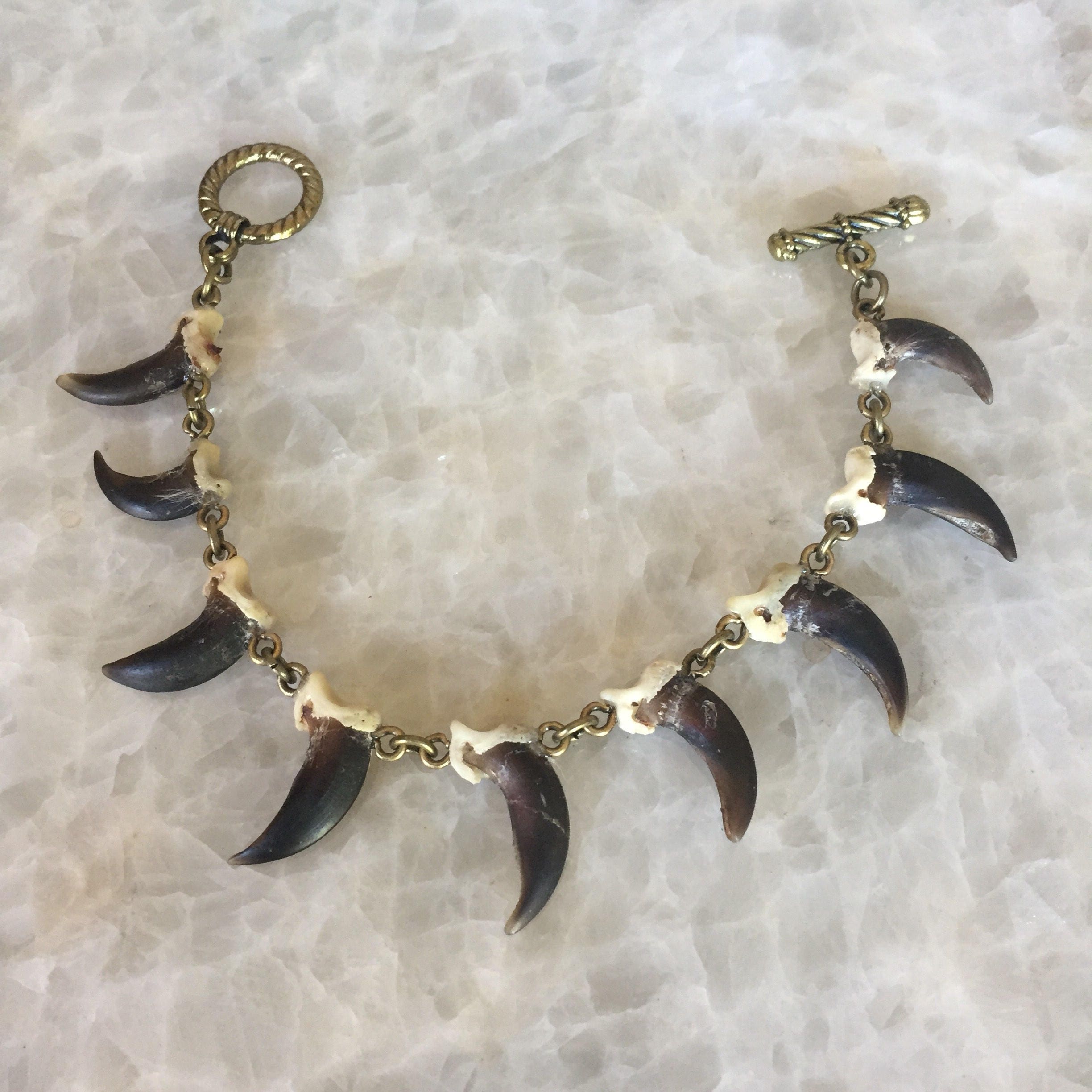 Coyote Claw Bracelet | Etsy