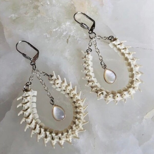 Vertebrae - Etsy