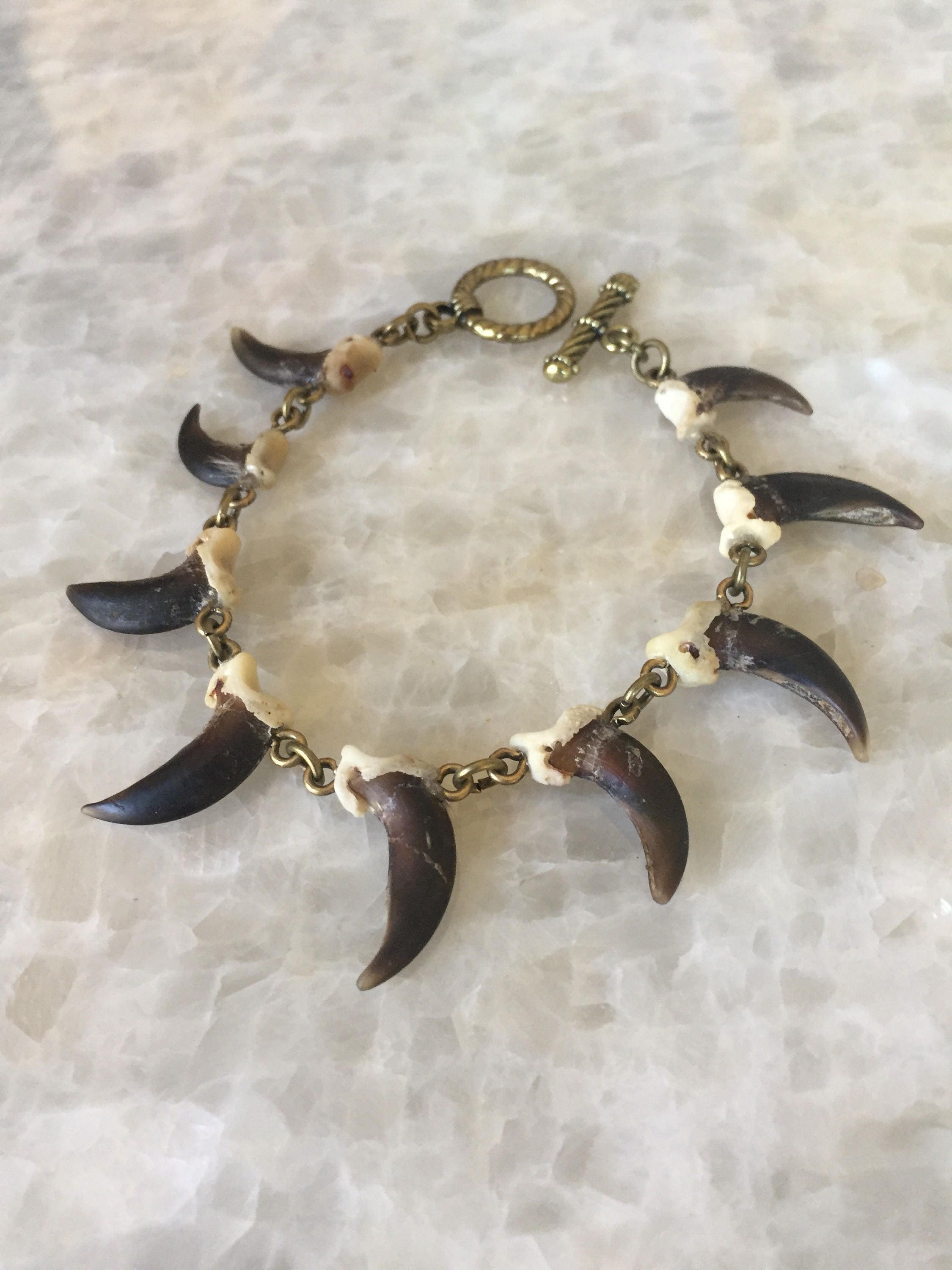 Coyote Claw Bracelet - Etsy