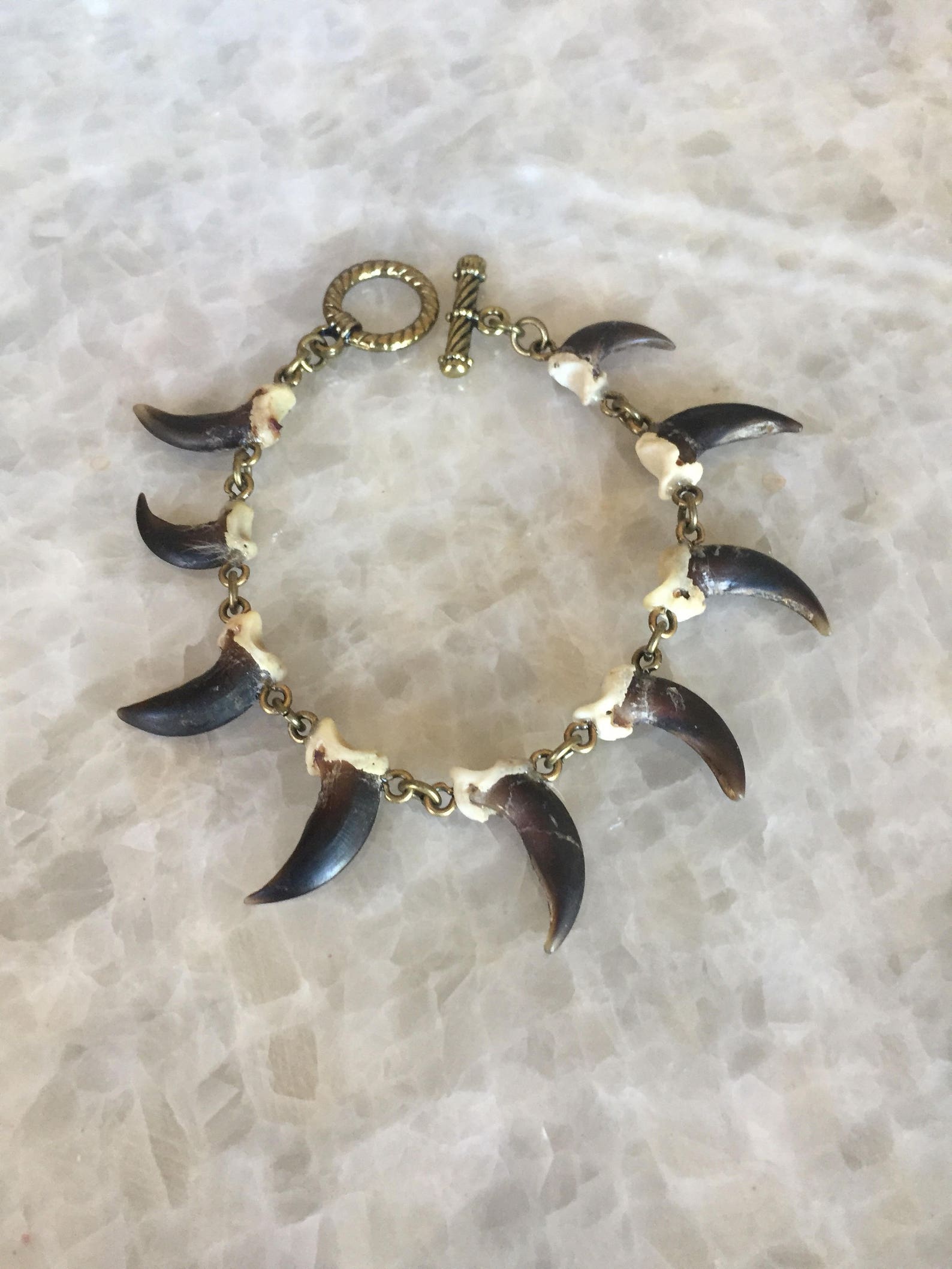 Coyote Claw Bracelet - Etsy