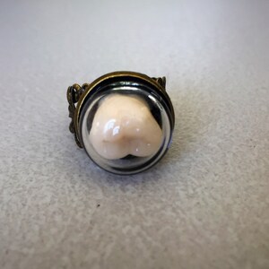 Tooth Fairy's Curiosity Keepsake Ring - Etsy