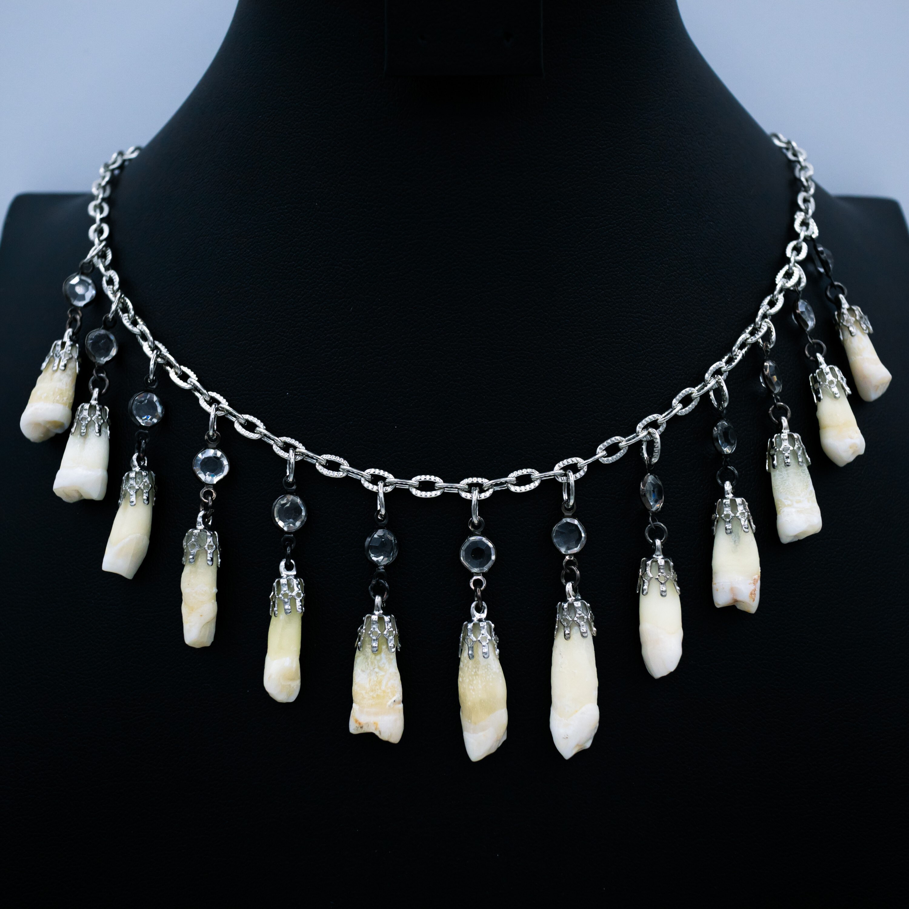 13 Human Tooth Charm Necklace - Etsy UK