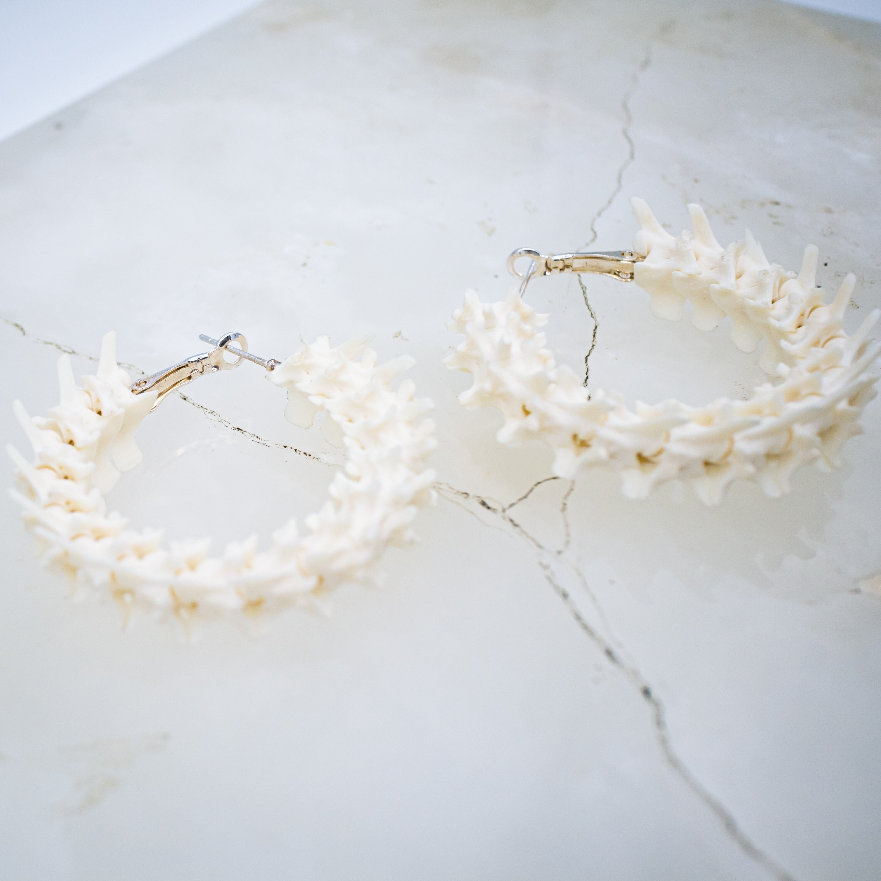 Python Vertebrae Hoop Earrings - Etsy