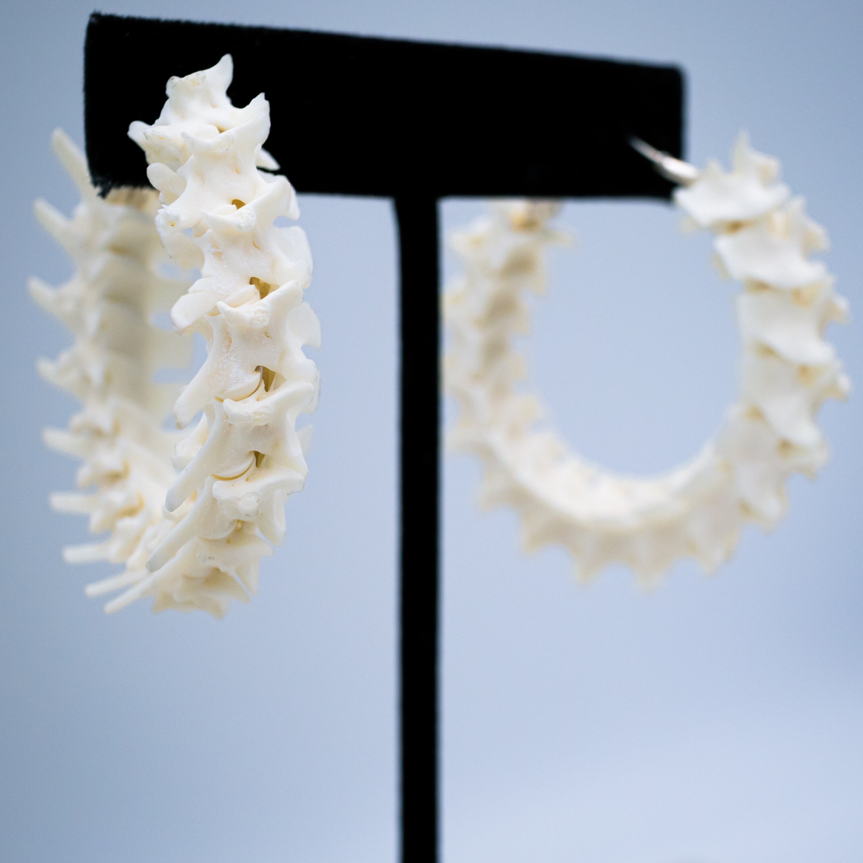 Python Vertebrae Hoop Earrings - Etsy