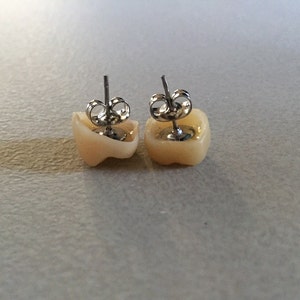 Human Tooth Stud Earrings - Etsy