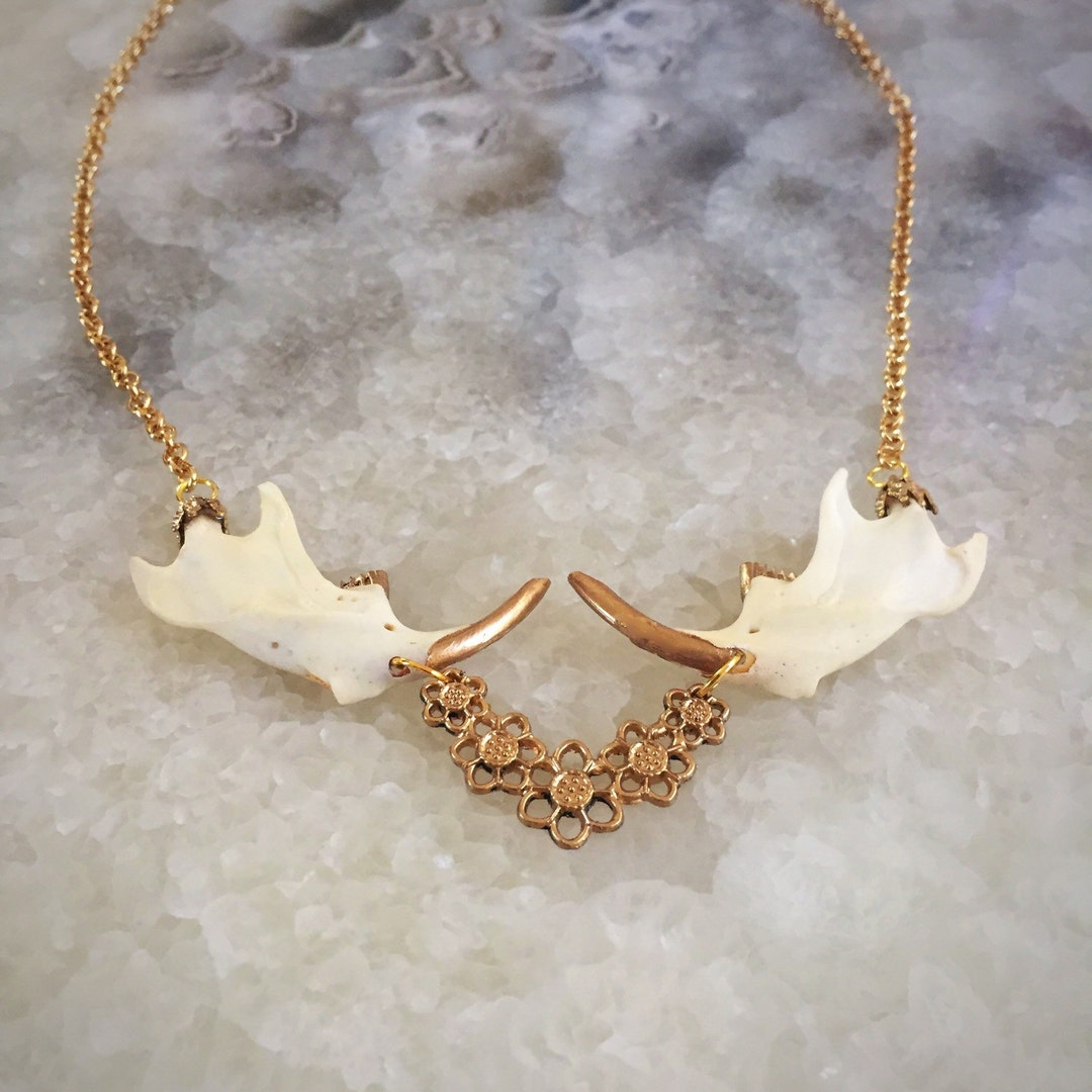 Gold Tooth Muskrat Jaws Necklace - Etsy