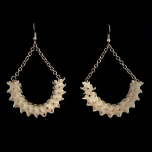 Crescent Moon Python Vertebrae Hoops - Etsy