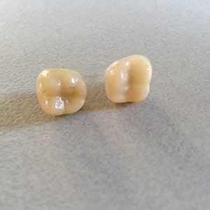 Human Tooth Stud Earrings - Etsy