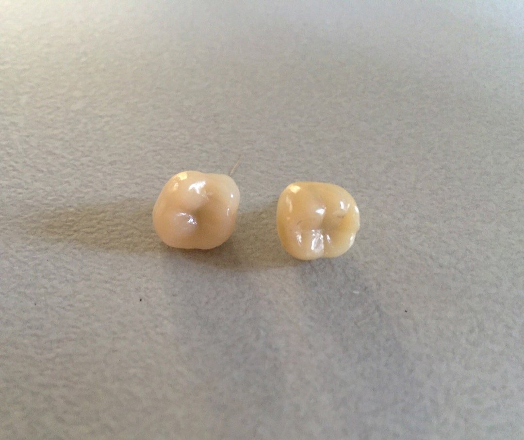 Human Tooth Stud Earrings - Etsy