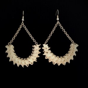 Crescent Moon Python Vertebrae Hoops - Etsy
