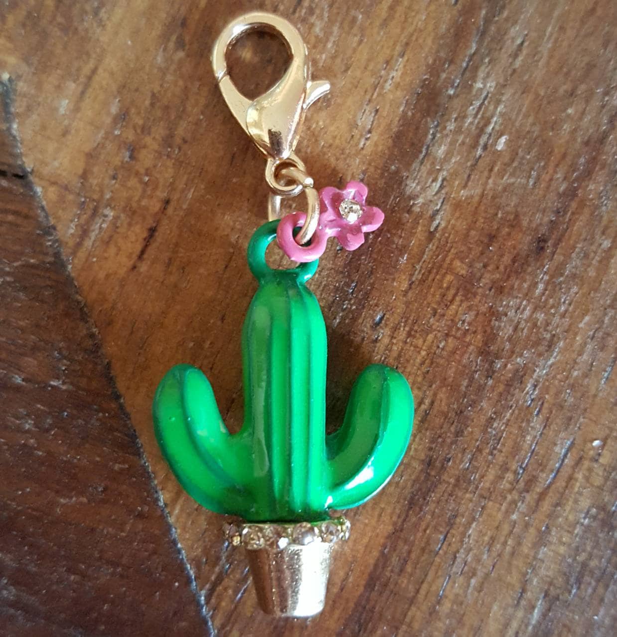3d Green Cactus Charm Clip on Cactus Charm for Bracelets | Etsy