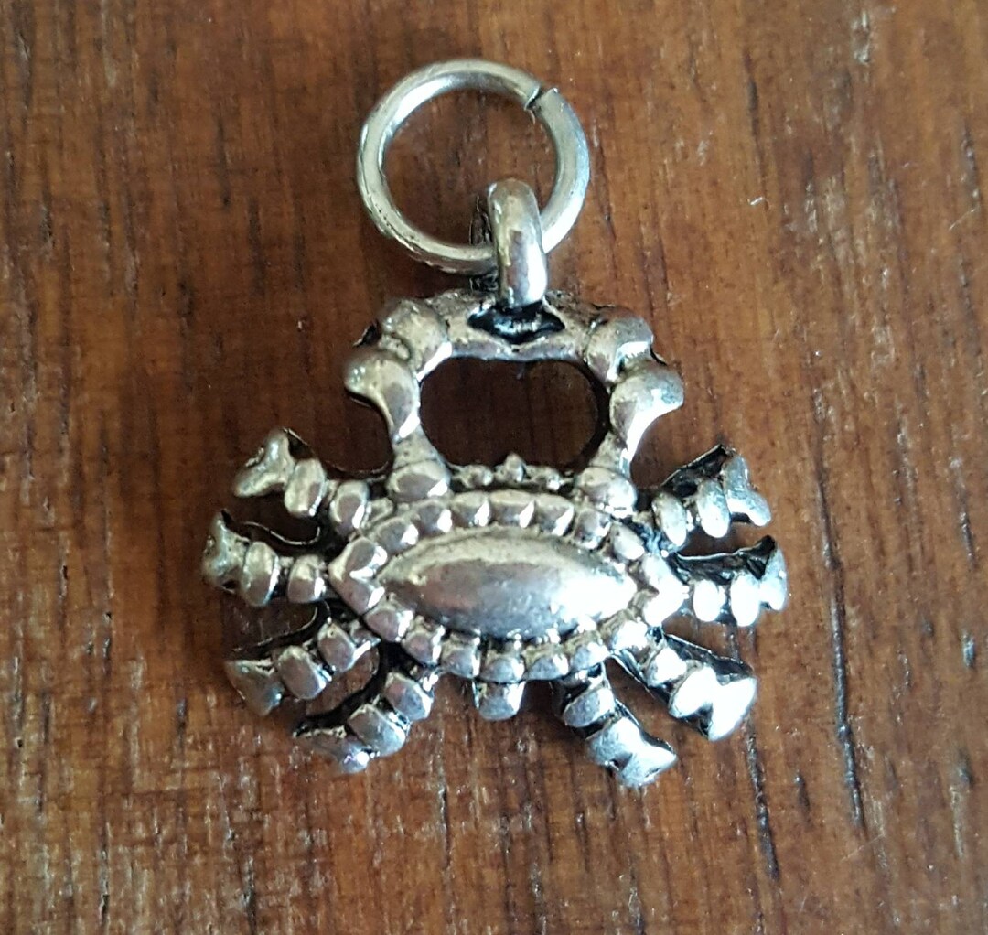 Silver Crab Charm, Tiny Crab Pendant, Tropical Ocean Beach Vacation Sea ...