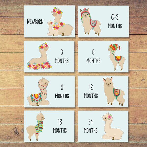 Nursery Labels - Etsy