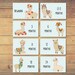 Llama Alpaca Drawer Labels, Nursery Closet Organization, Llama Themed ...