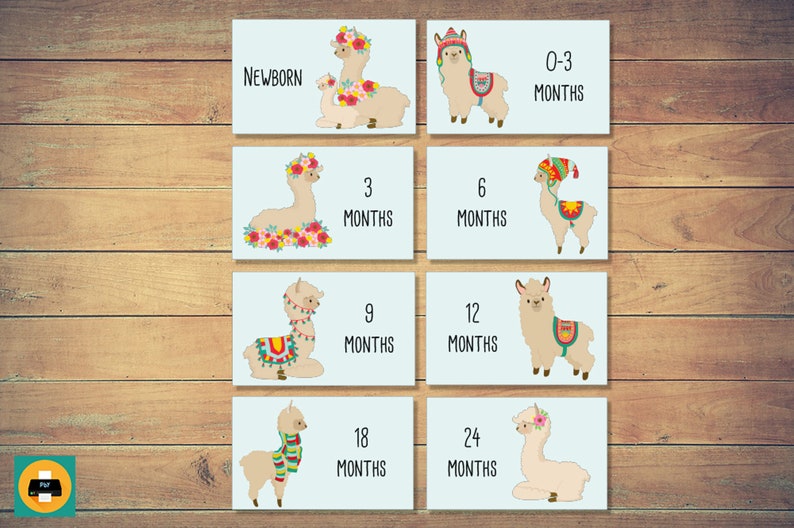 Llama Alpaca Drawer Labels, Nursery Closet Organization, Llama Themed ...