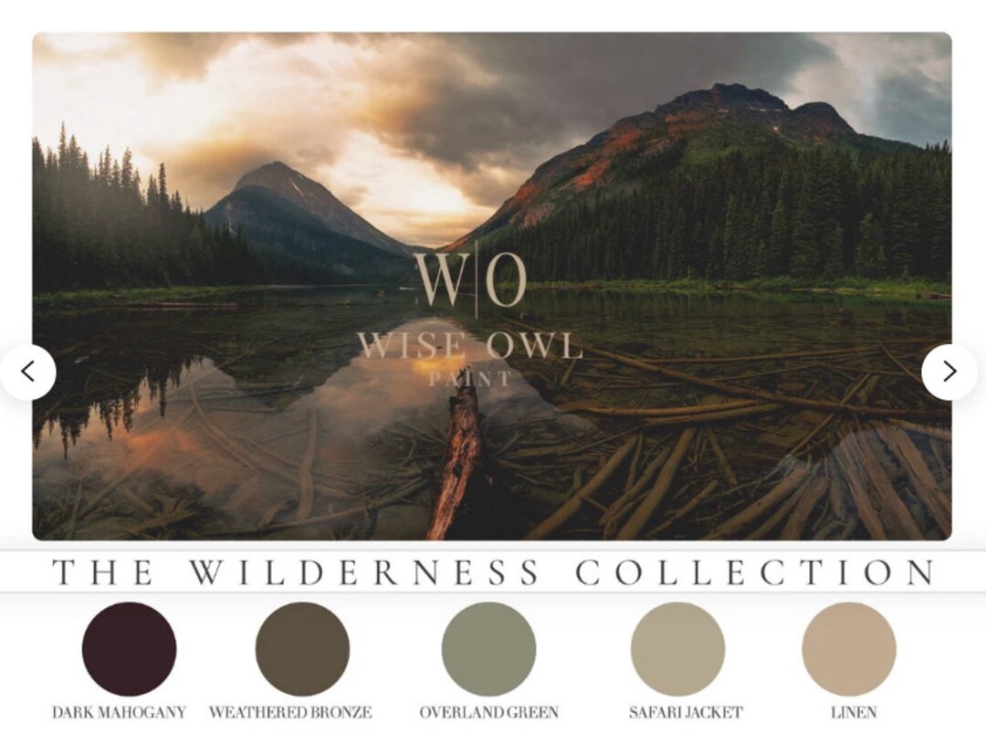 Newwise Owl One Hour Enamel the Wilderness Collection 32 Oz - Etsy