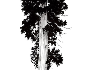 Printable Giant Sequoia Tree Poster Sequoia National Park - Etsy