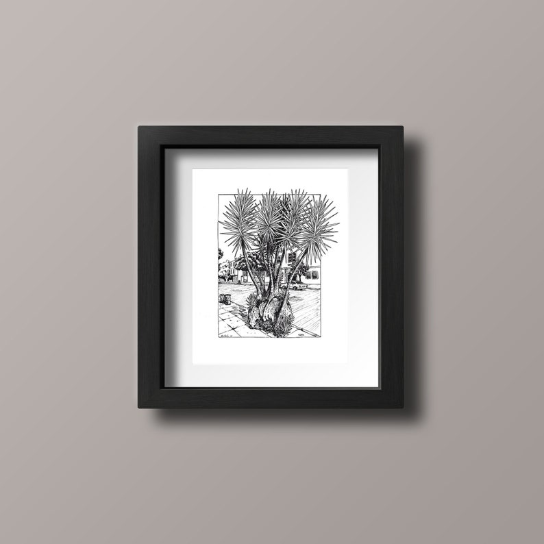 Yucca Street Tree Sketch - Etsy
