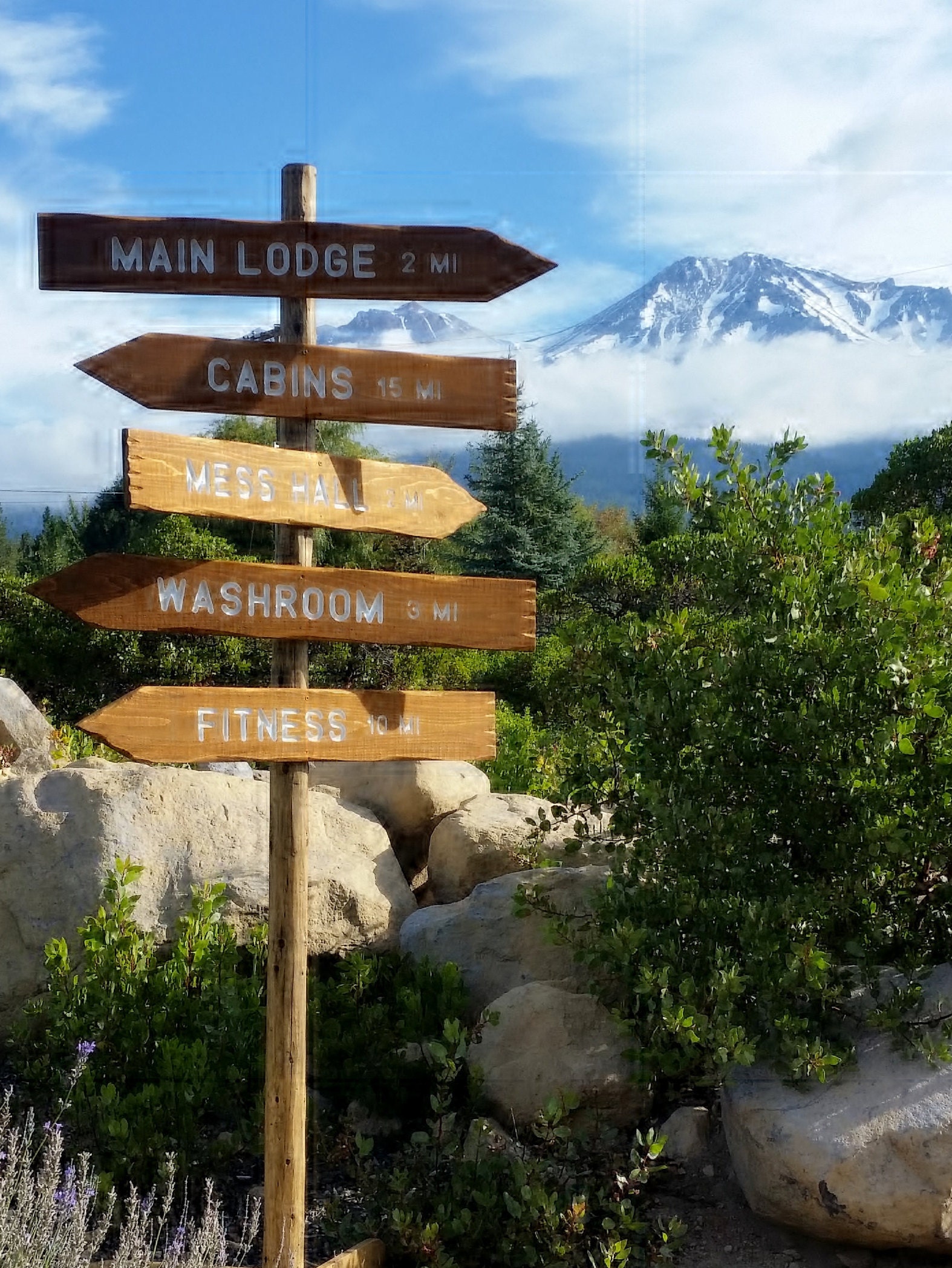 Carved Cedar Arrow Directional Outdoor Signs Medium Sized - Etsy