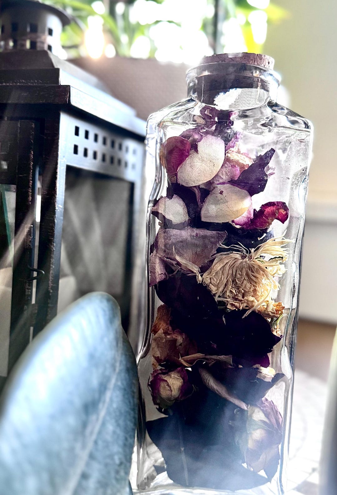 Dried Roses Preserved Floral Decor Bottle Art Valentines Day Gift - Etsy