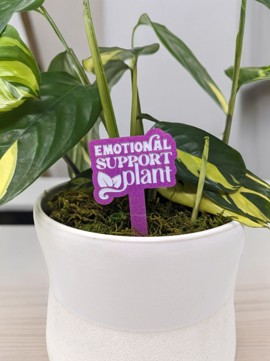 Emotional Support Plant Funny Plant Stake Plant Decor Maximalism Decor ...
