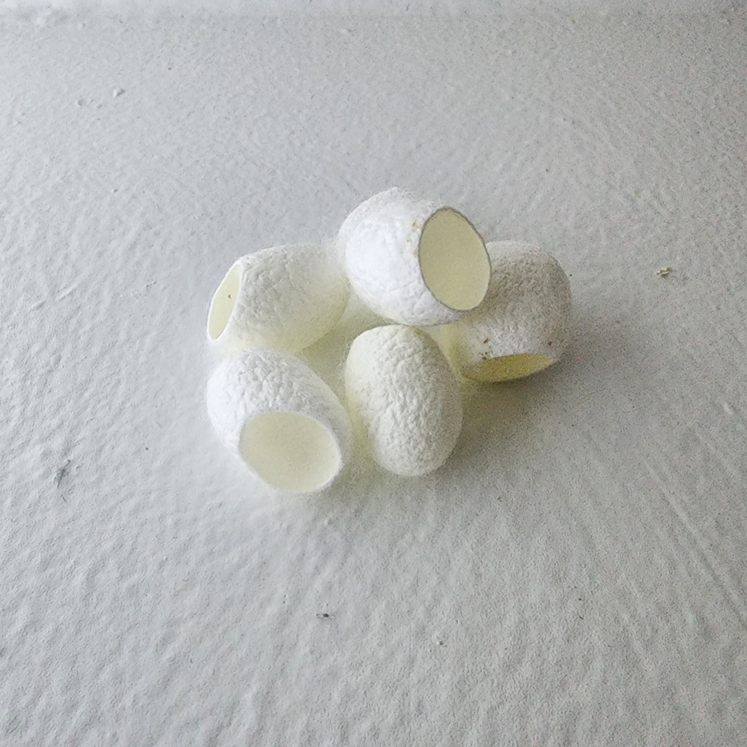 Jumping Spider Hides. Silk Cocoon Nest. - Etsy