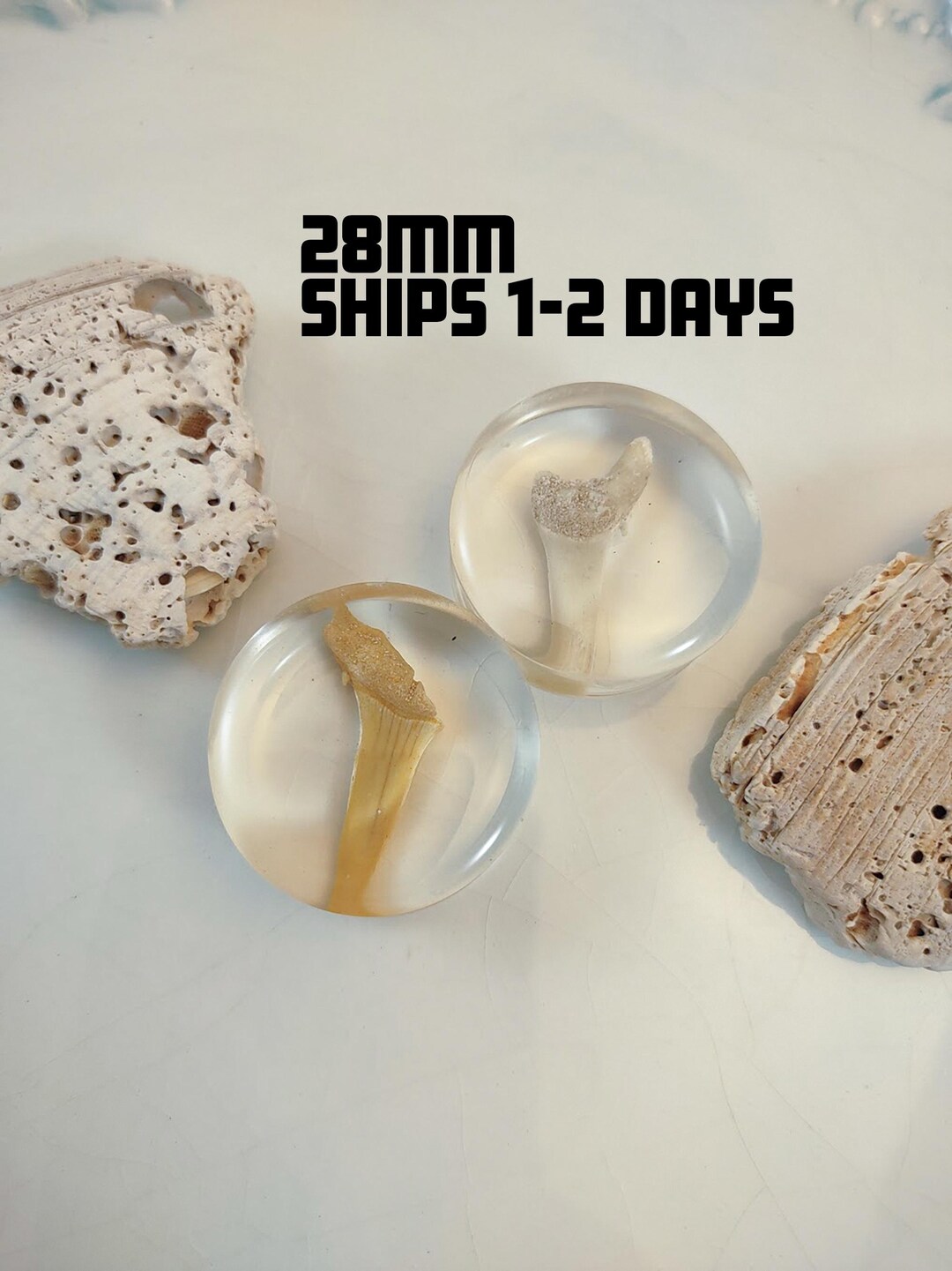 28mm Real Shark's Tooth Resin Ear Plugs, Gauges for Stretched Ears ...