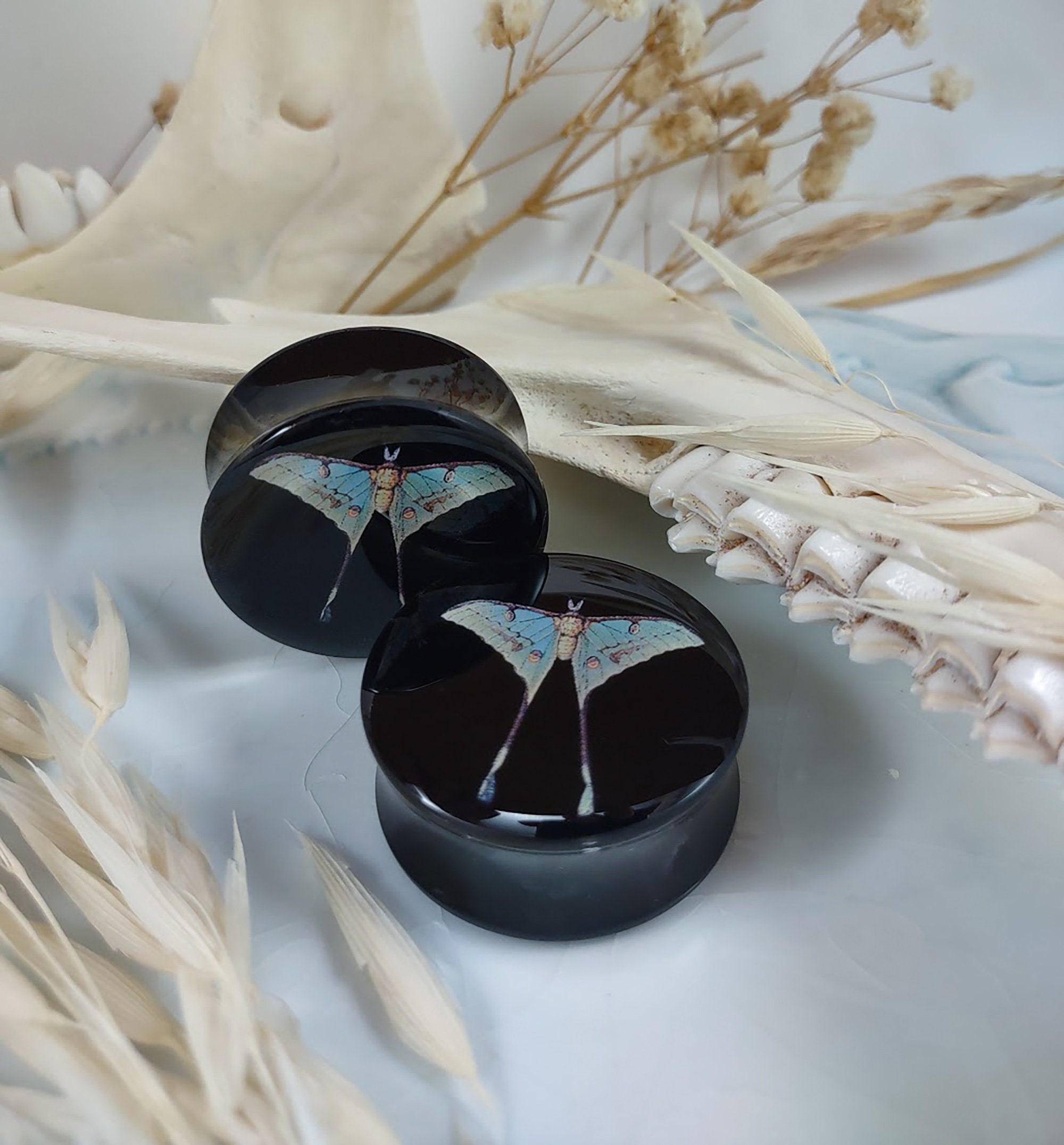 Chinese Luna Moth Ear Plugs/ Gauges for Stretched Ears. Double Flared ...