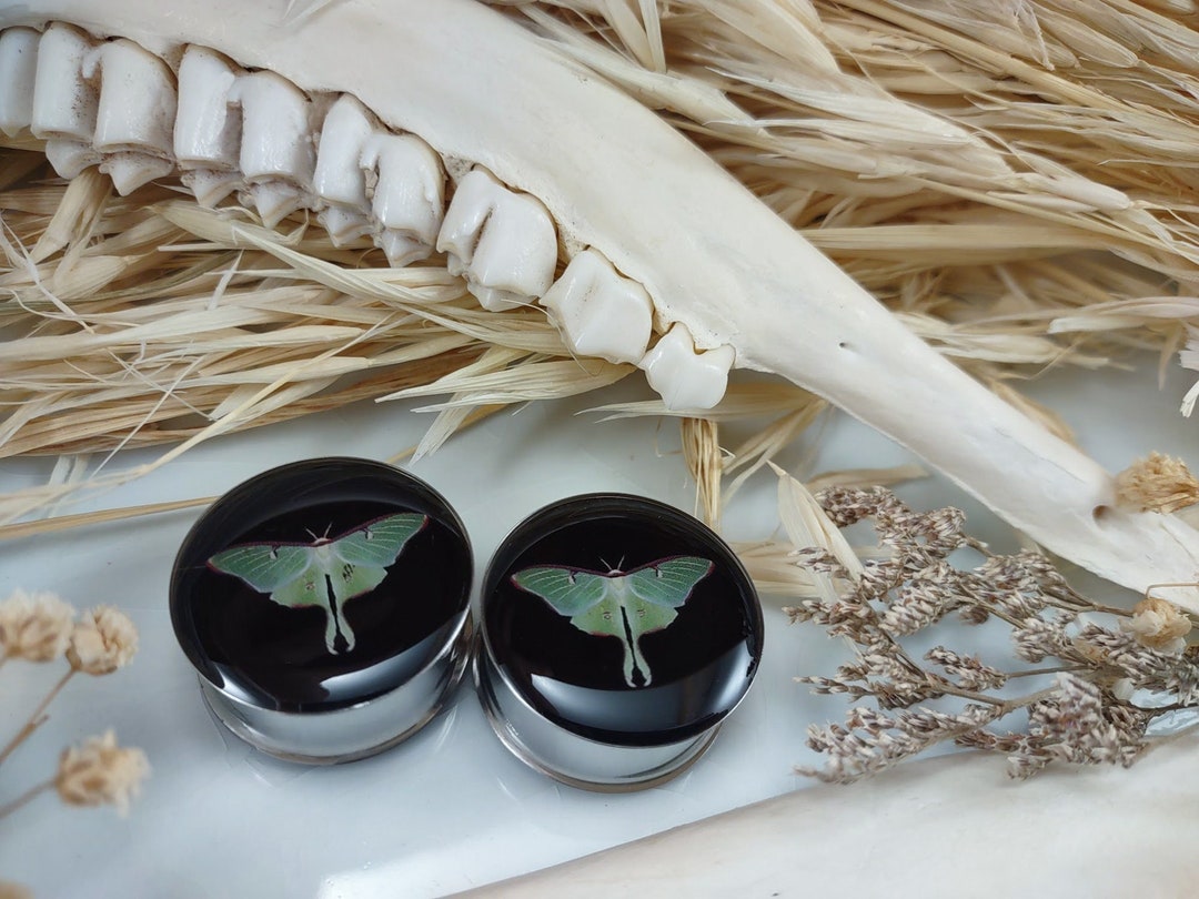 Luna Moth Stainless Steel With Resin Double Flared Ear Plugs/ Gauges - Etsy