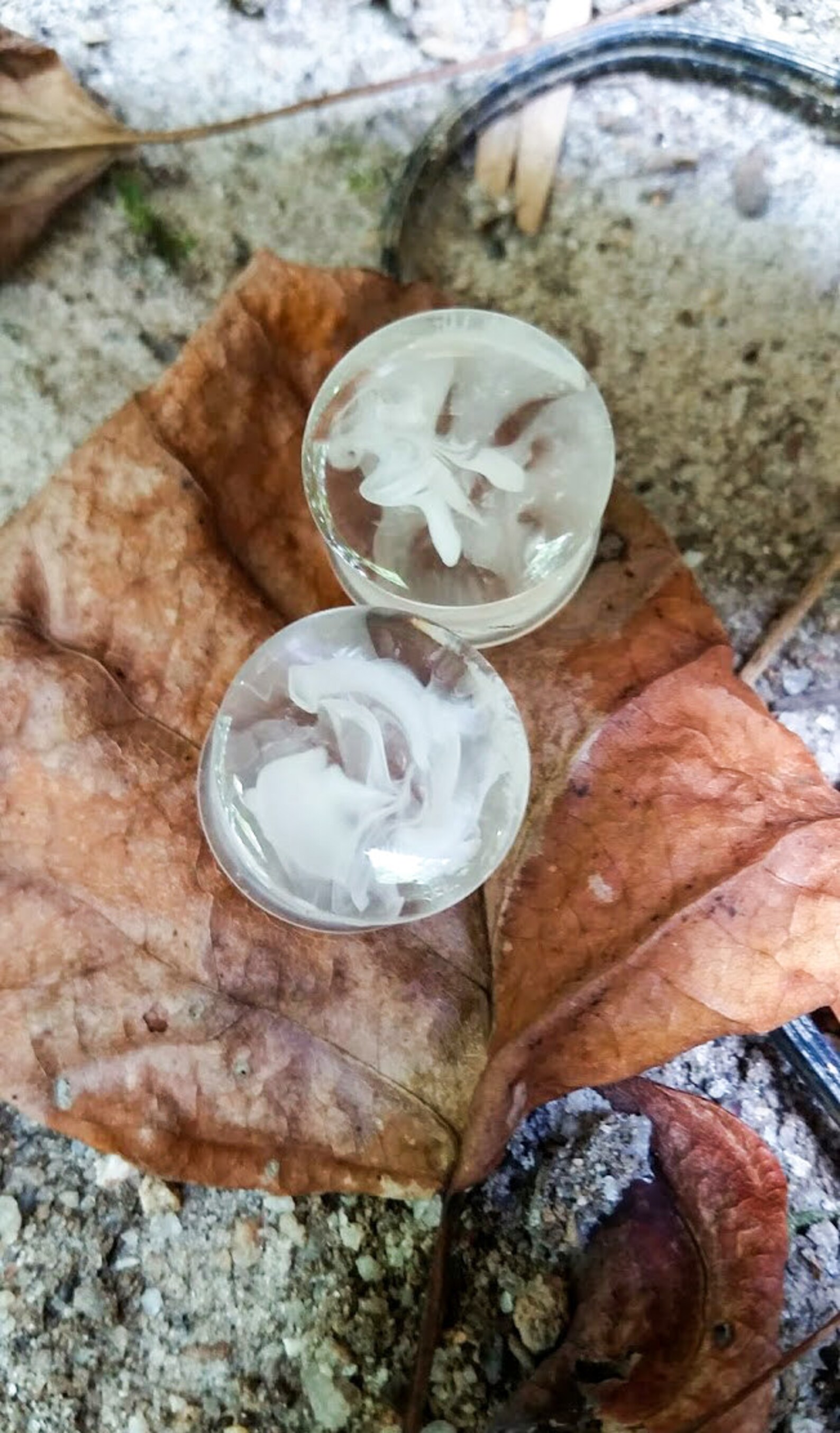 Ice Plugs, Resin Handmade Clear Plugs/ Gauges. Double Flared. - Etsy