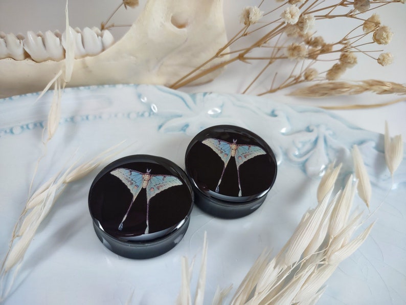 Chinese Luna Moth Ear Plugs/ Gauges for Stretched Ears. Double Flared ...