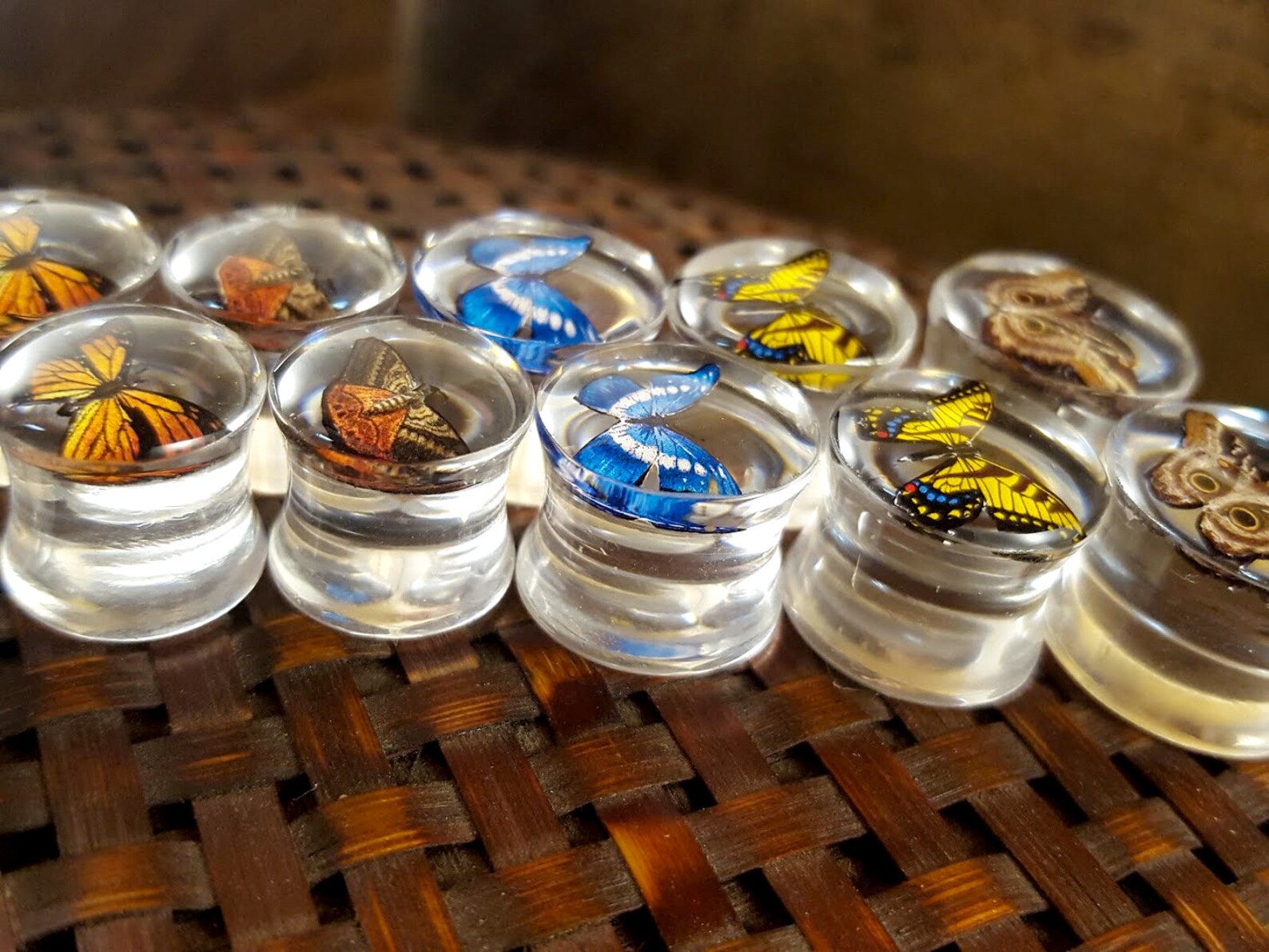Clear Blue Butterfly Ear Plugs/ Gauges for Stretched Ears. Double ...