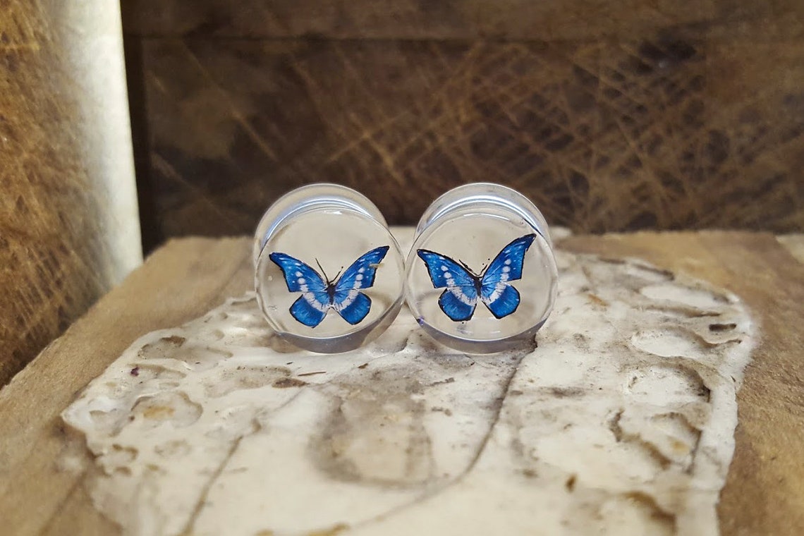 Clear Blue Butterfly Ear Plugs/ Gauges for Stretched Ears. - Etsy