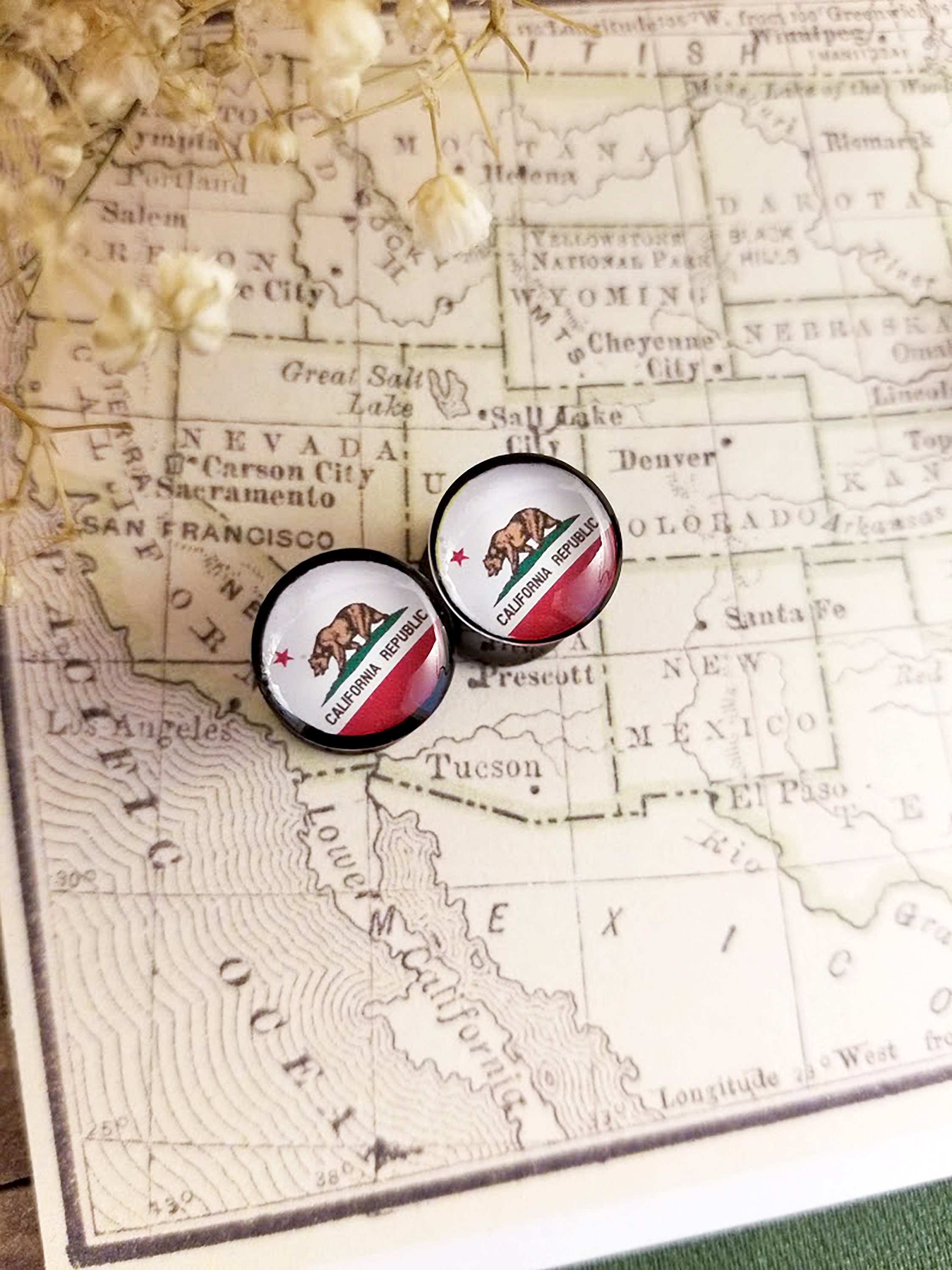 Your State Flag Ear Plugs/ Gauges for Stretched Ears. Double Flared. 1 ...