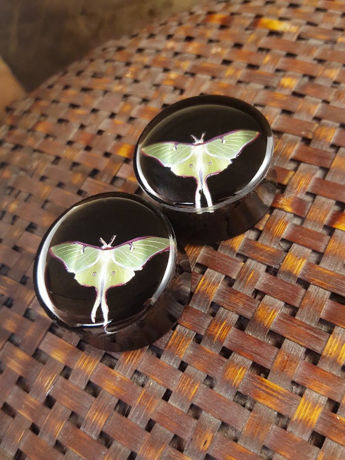 Luna Moth Ear Plugs/ Gauges for Stretched Ears. Double Flared. - Etsy