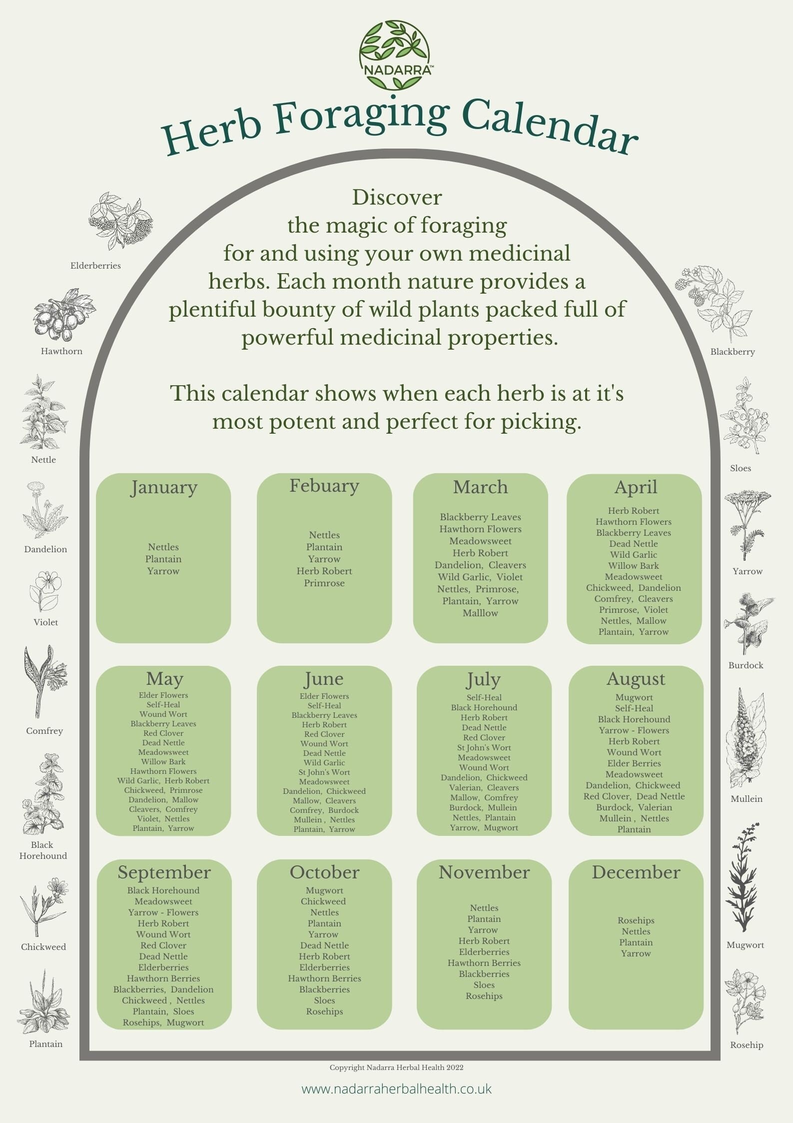 Herb Foraging Calendar - Digital A3 Poster - Etsy