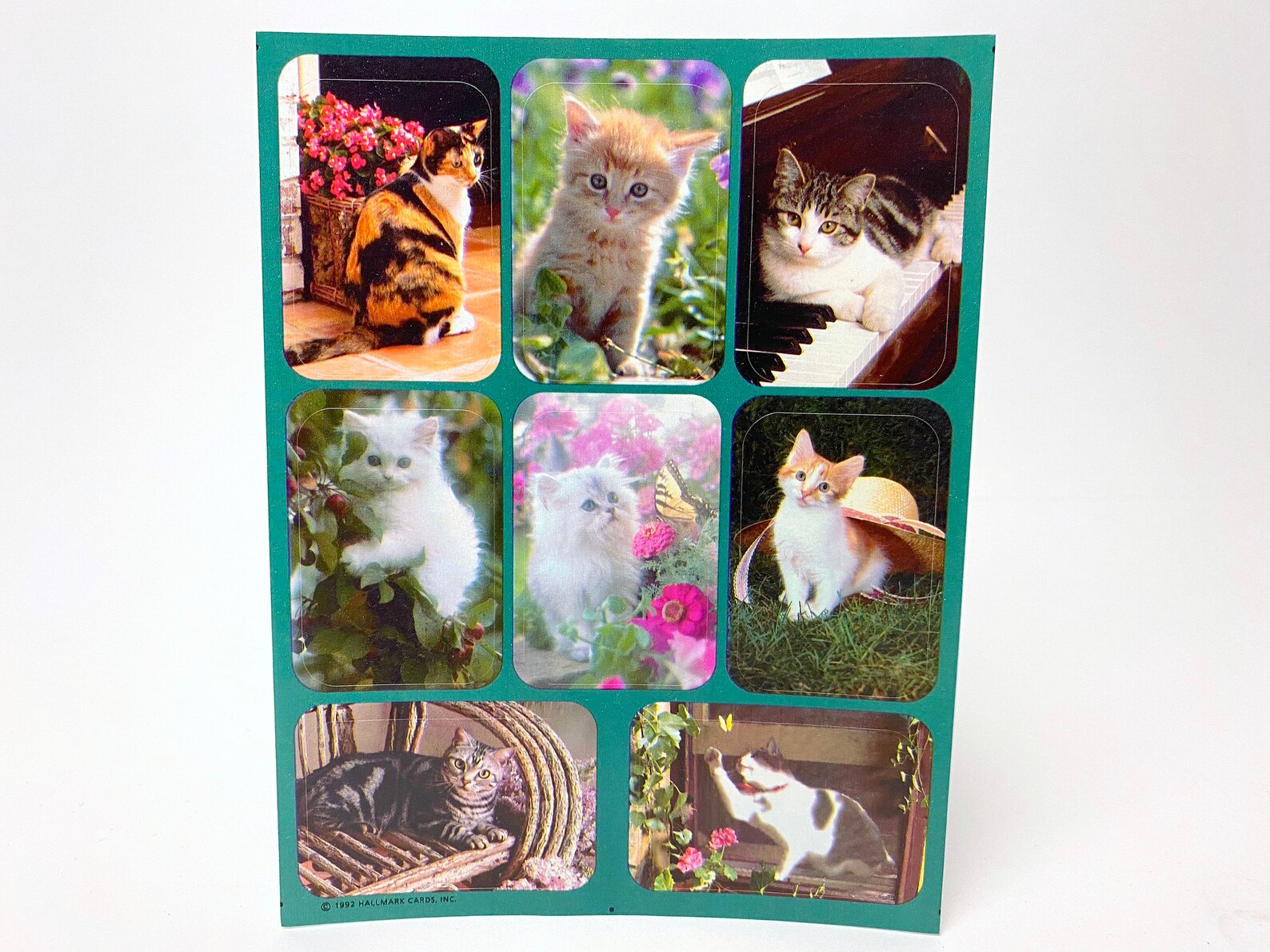 Vintage 1992 Cats & Kittens Sticker Sheet Ambassador - Etsy