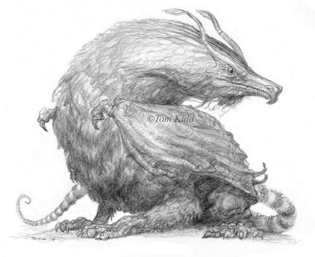 Pelgrane (drawing) - Etsy