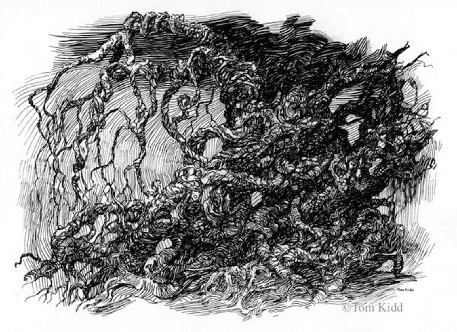 Killer Vines pen and Ink - Etsy