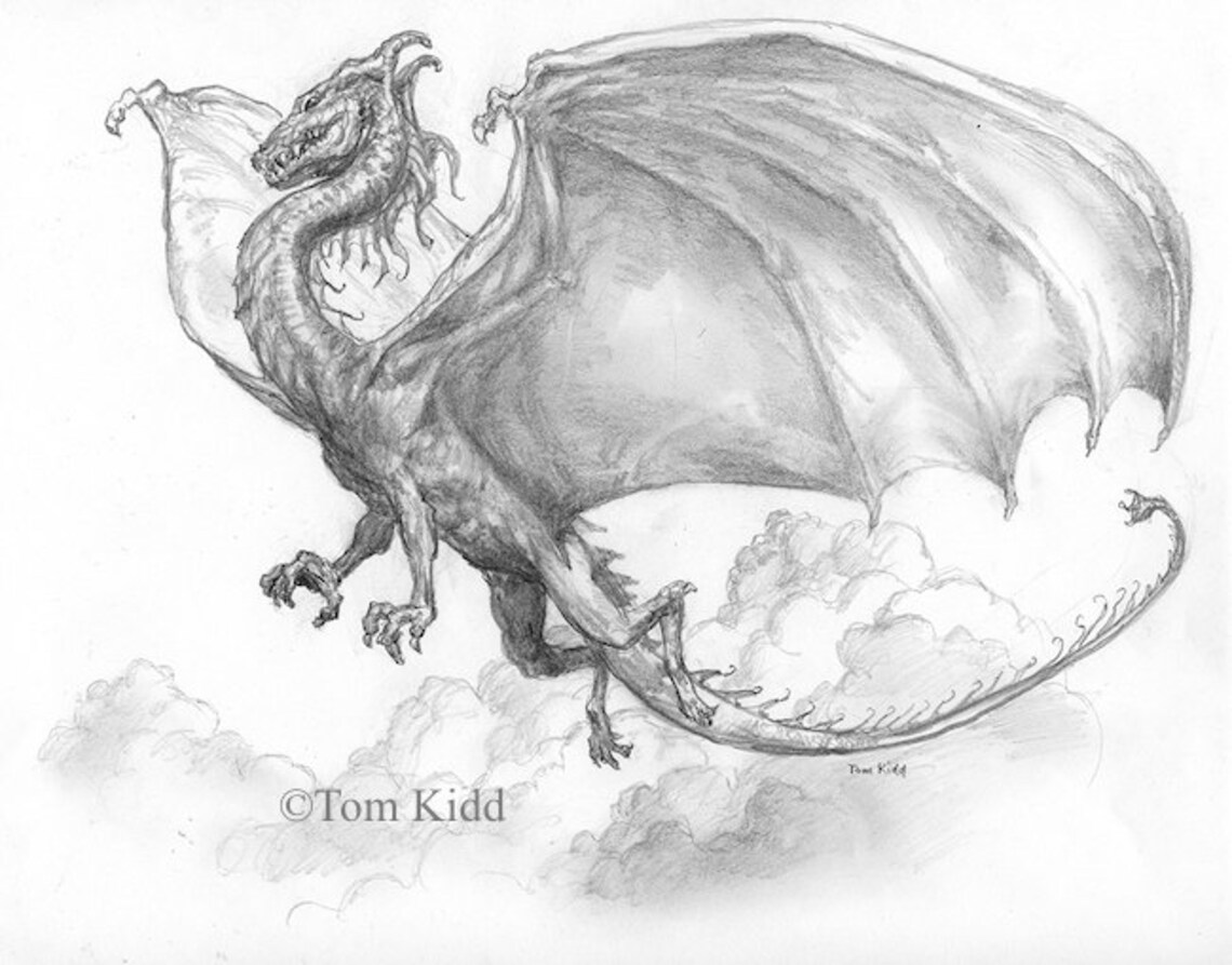 Riding Air Currents (drawing) - Etsy