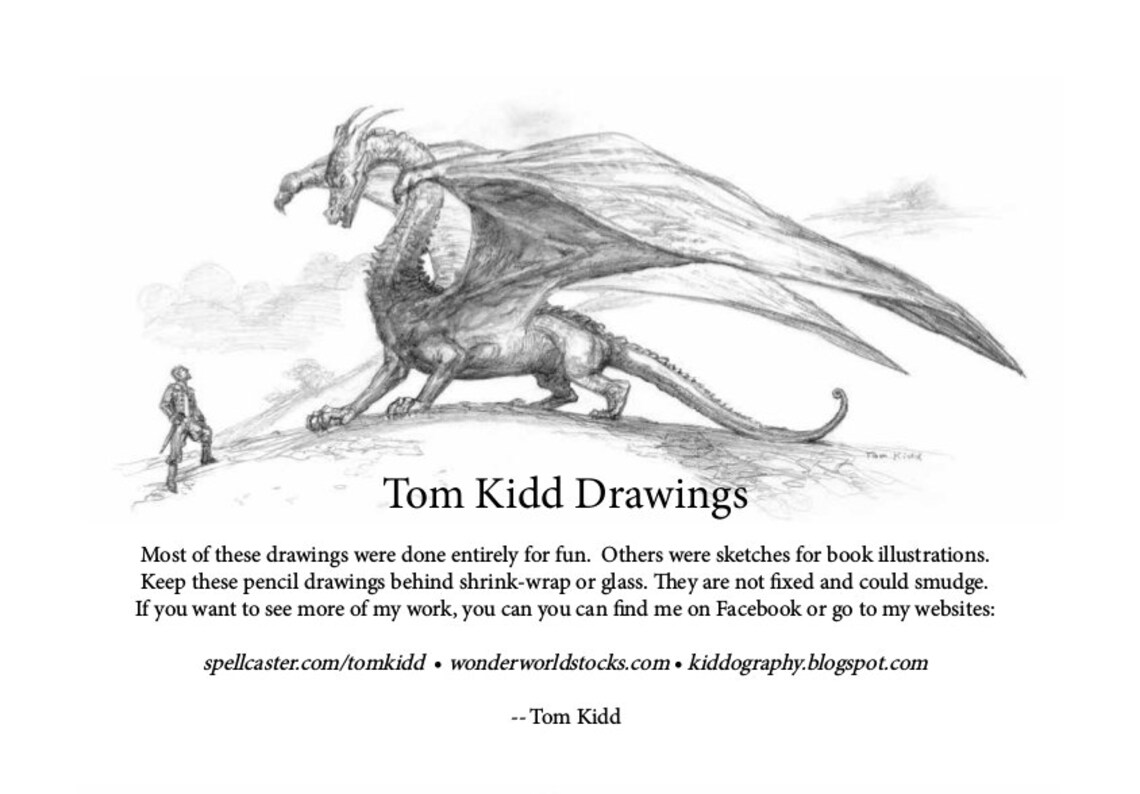 Riding Air Currents (drawing) - Etsy