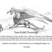 Riding Air Currents (drawing) - Etsy