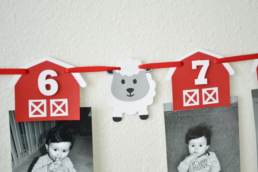 Farm Birthday Decorations Barnyard First Birthday Farm Photo Banner ...