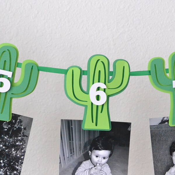 Cactus Banner - Etsy