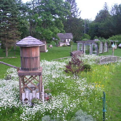 ImagineFarmsGardens - Etsy