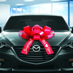 Giant Bows for Cars Surprise We Love You Special Message Car - Etsy