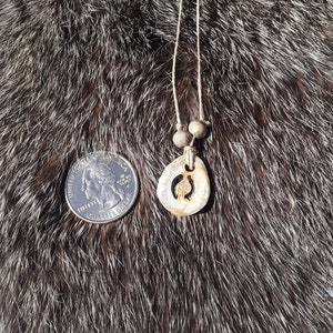 Small Werewolf Auspice Antler Slice Pendants - Etsy