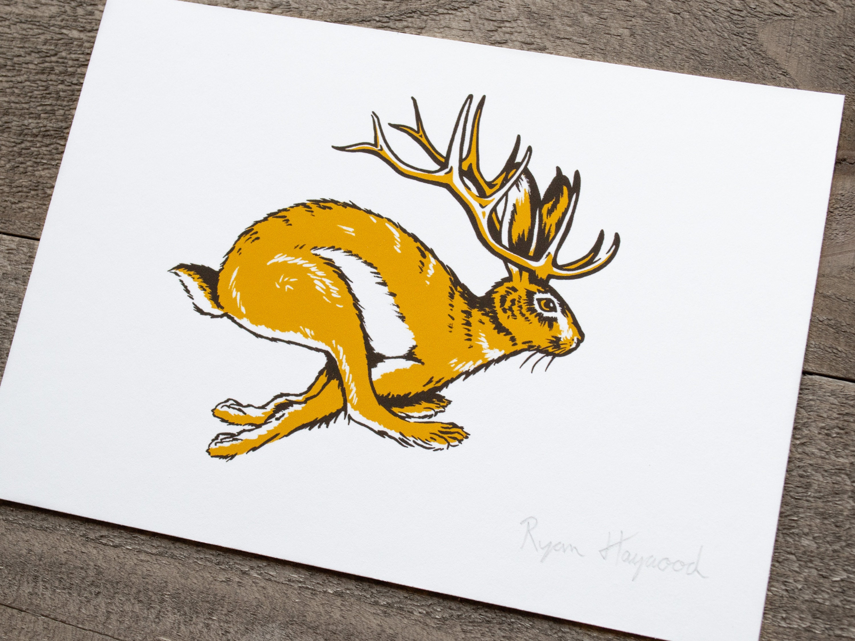 Jackalope 7x5 Print Cryptid Print Mythical Creature Rabbit - Etsy