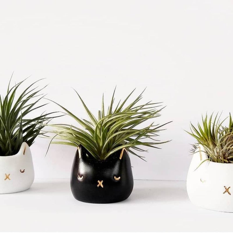 Cat Planter - Etsy